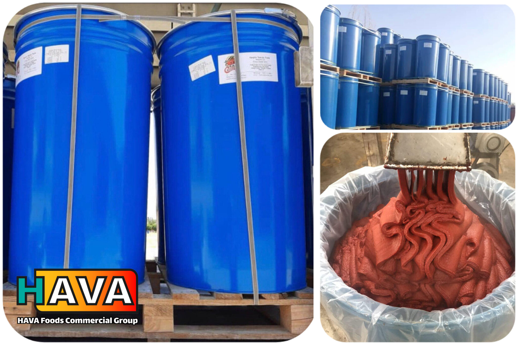 Tomato Paste - HAVA Foods Commercial Group