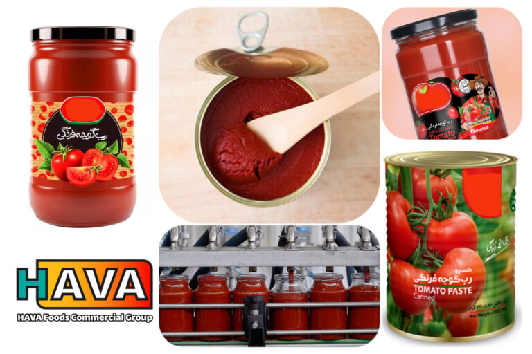Tomato Paste - HAVA Foods Commercial Group