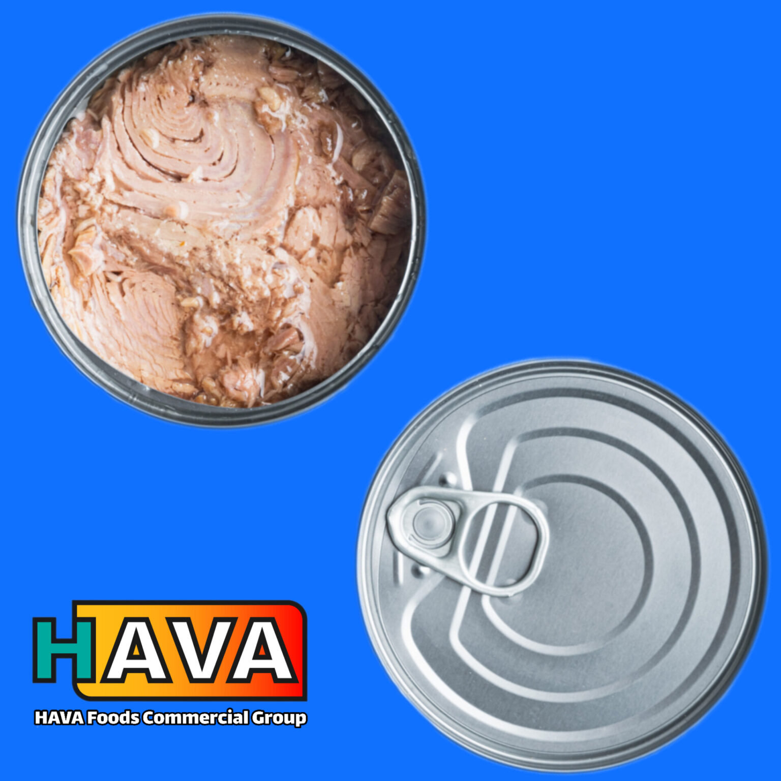 Canned Tuna Fish - HAVA Foods Commercial Group