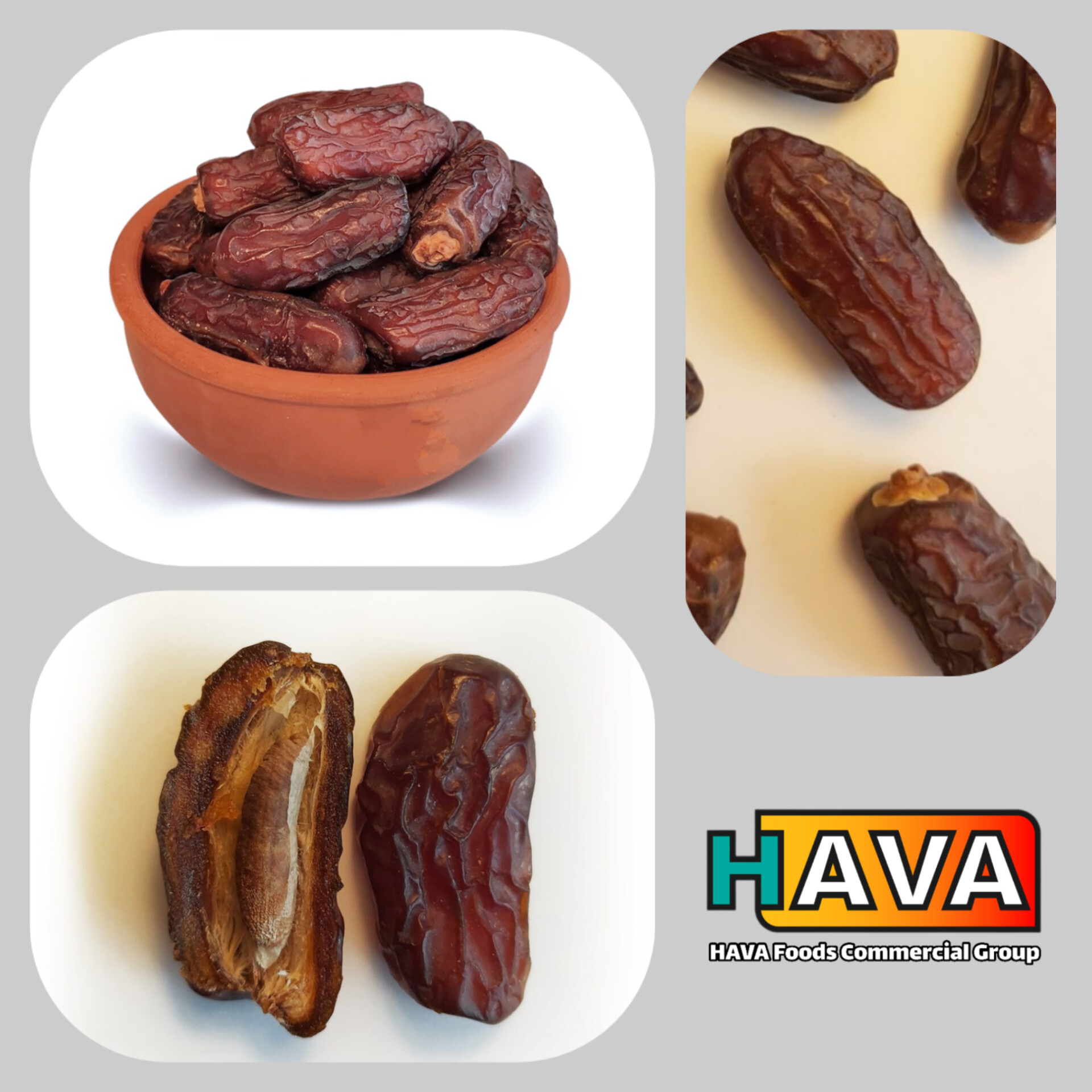 Dates - HAVA Foods Commercial Group