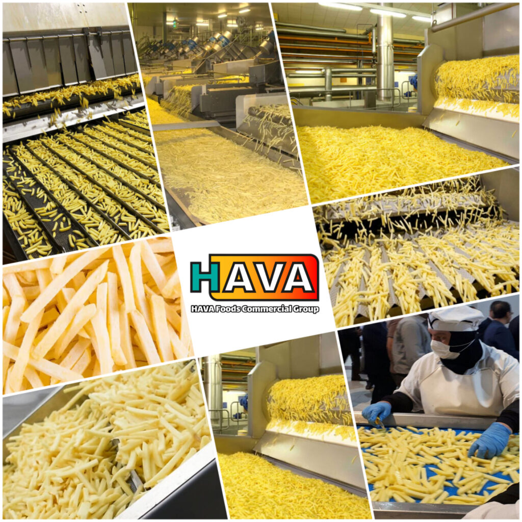 Frozen French Fries - HAVA Foods Commercial Group