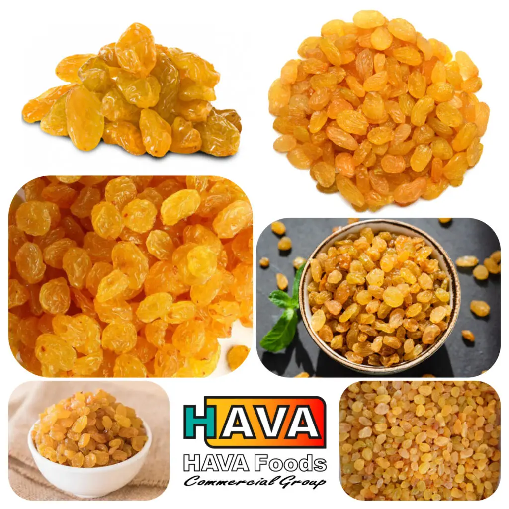 Raisins - HAVA Foods Commercial Group
