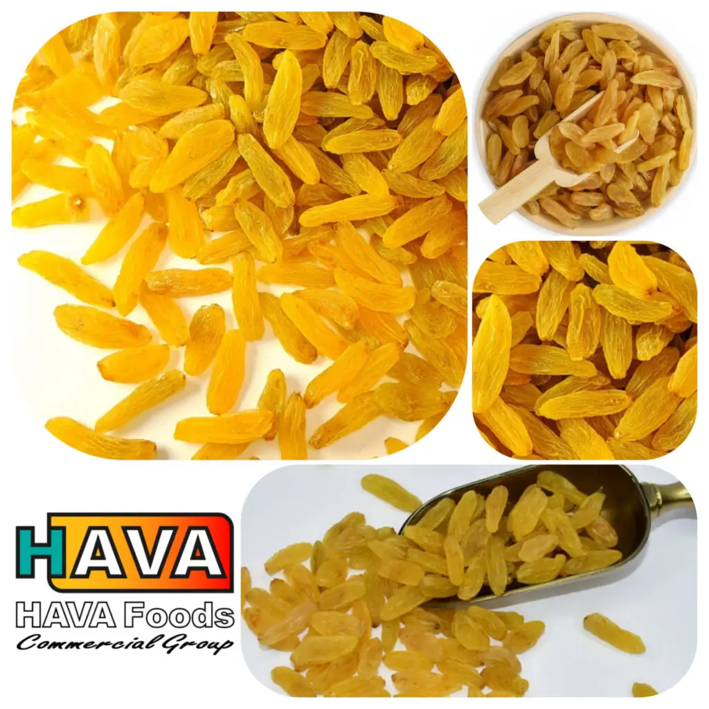 Raisins - HAVA Foods Commercial Group