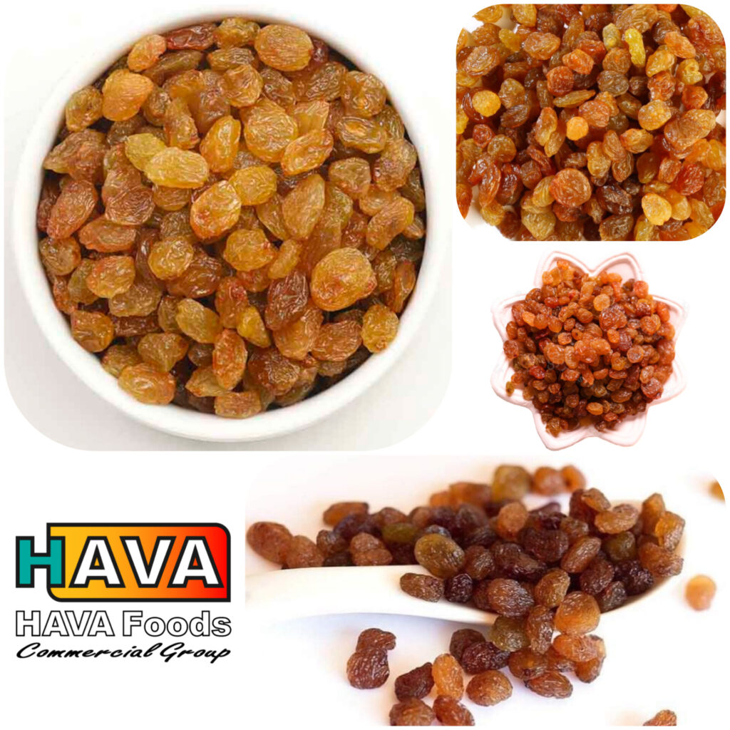 Raisins - HAVA Foods Commercial Group