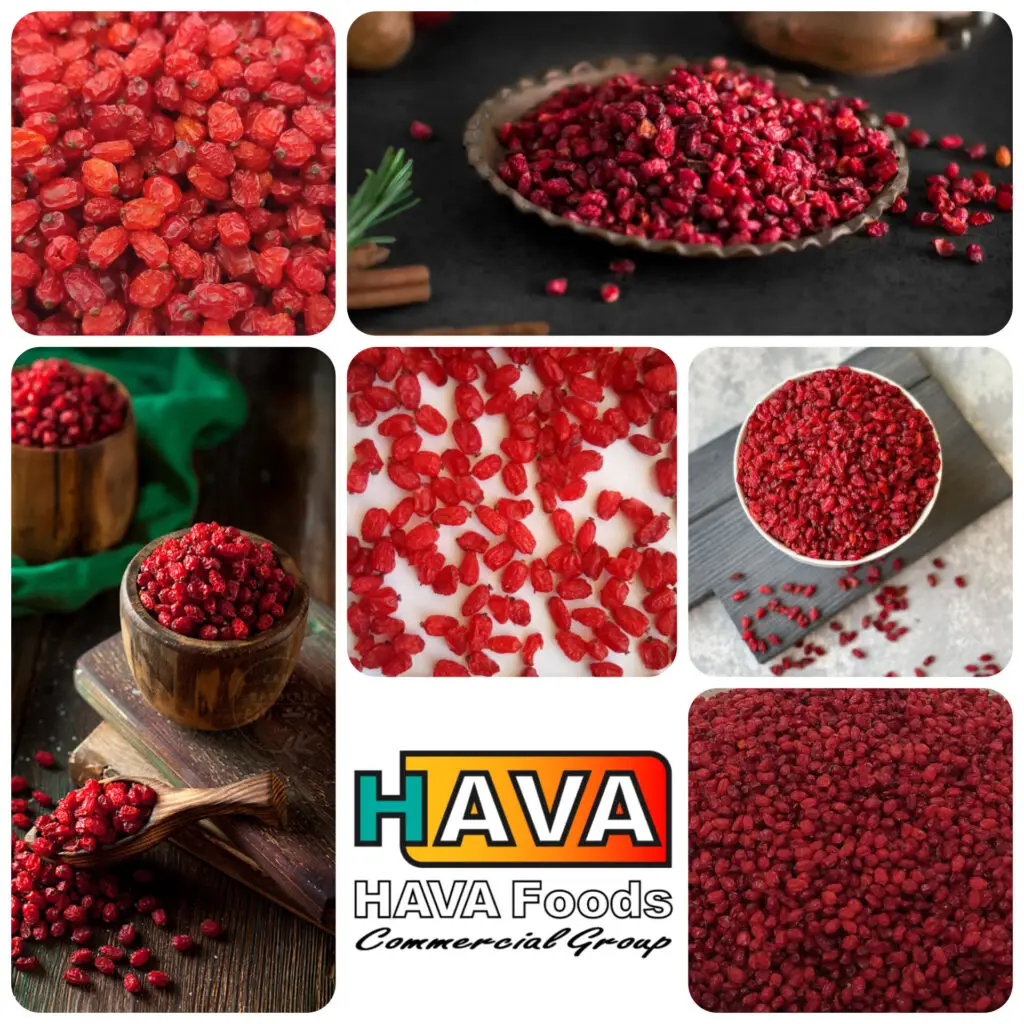 Barberry - HAVA Foods Commercial Group