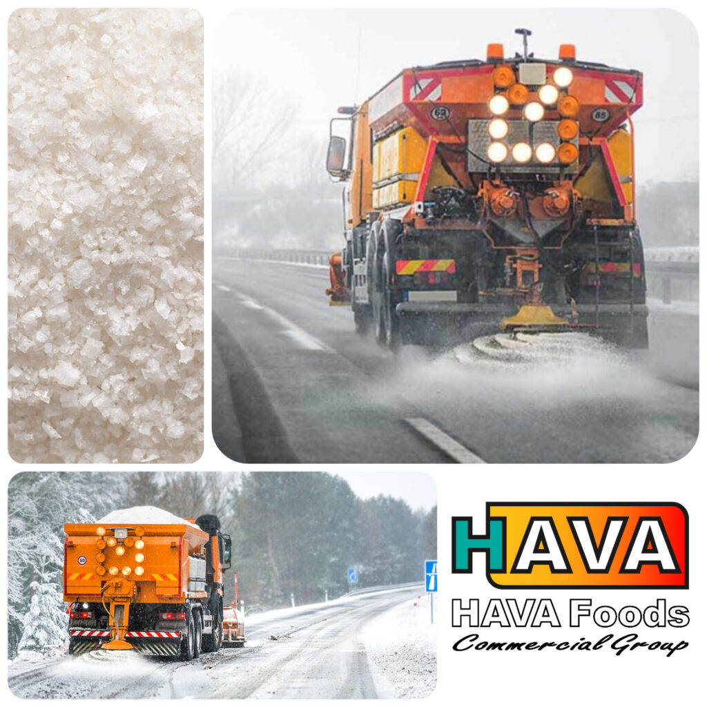 Salt - HAVA Foods Commercial Group